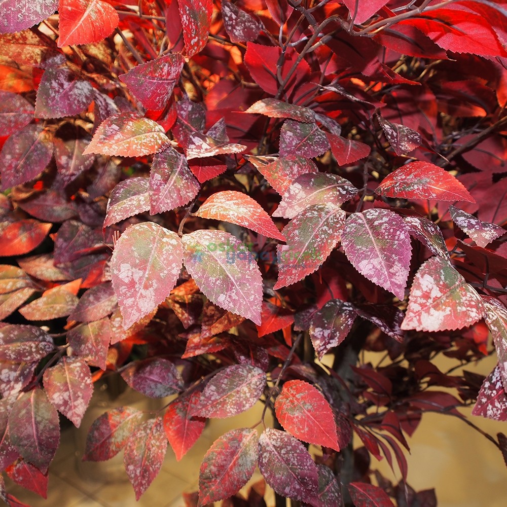 Yapay Red Ficus- Japon Eriği